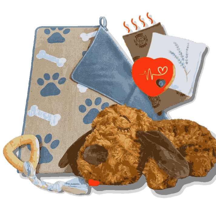 Buy New Puppy Kit - Puppy with Heartbeat Toy, Teething Toy, Blanket & Heat Pack