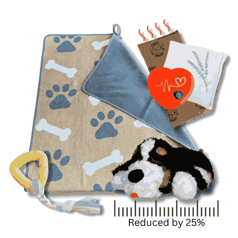 Buy New Puppy Kit - Puppy with Heartbeat Toy, Teething Toy, Blanket & Heat Pack