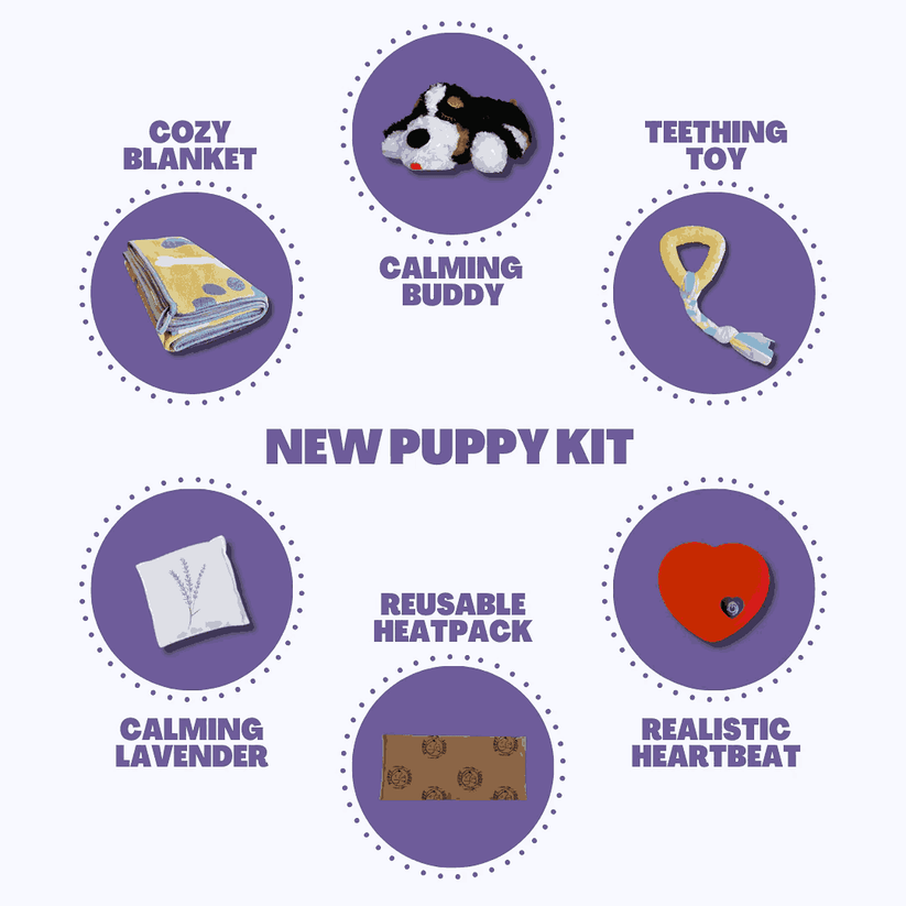 Buy New Puppy Kit - Puppy with Heartbeat Toy, Teething Toy, Blanket & Heat Pack